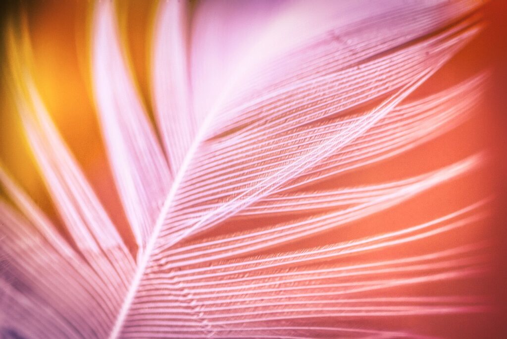 CSVファイルを手軽に読み込む ～Apache Commons CSV～ | Handy Lib